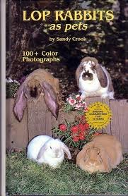 Lop Books | Bunny Lops